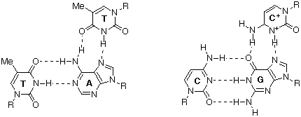Re: What are the base pairing rules for triplex DNA?