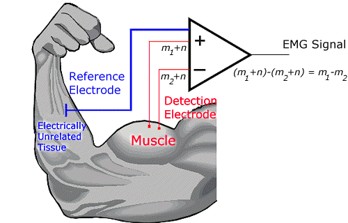 Re: how can I build a surface electromyograph