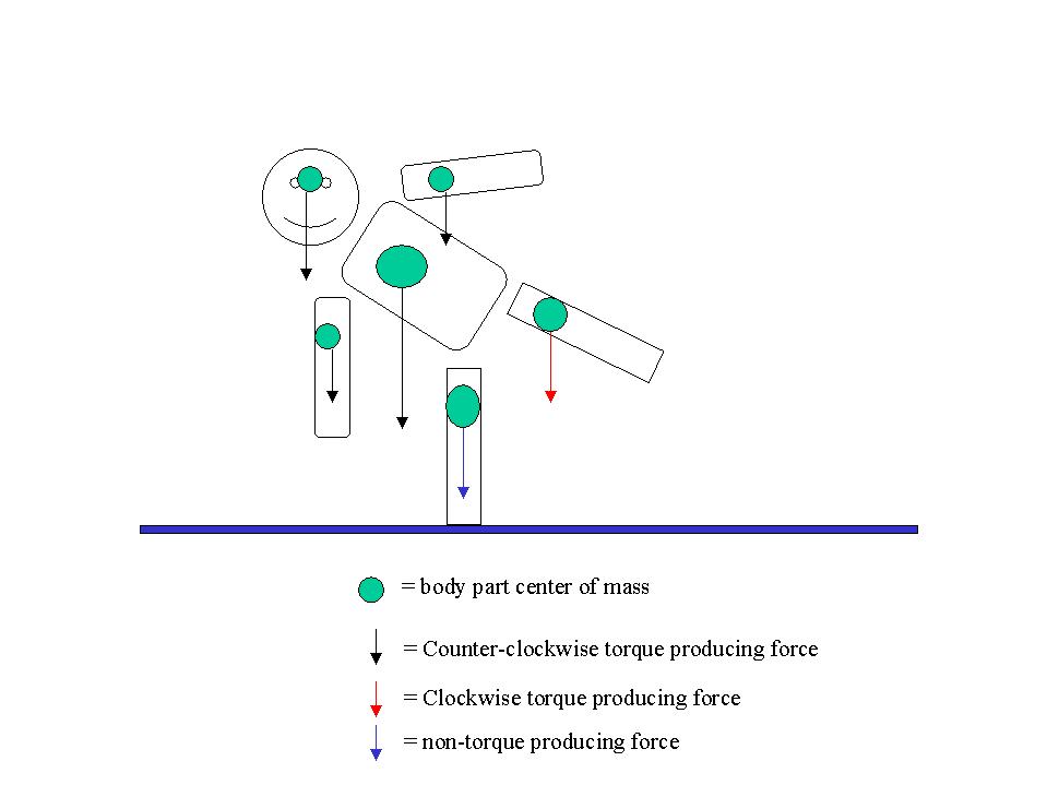 Re: What are all the forces acting on a person who slips and falls?
