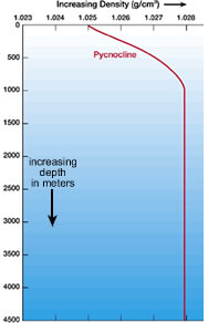 Re: Experiments that explain why fish float